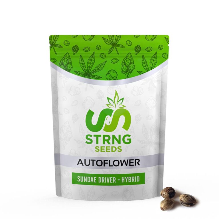 STRNG Seeds – Sundae Driver Auto - Premium Seed Bank | Best Feminized ...
