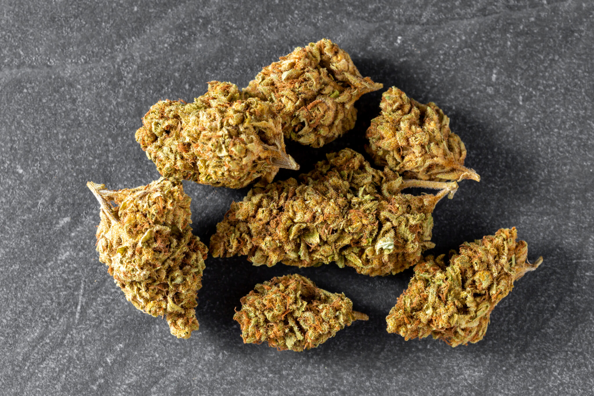 Is Northern Lights an Indica or Sativa? Complete Guide to Effects ...