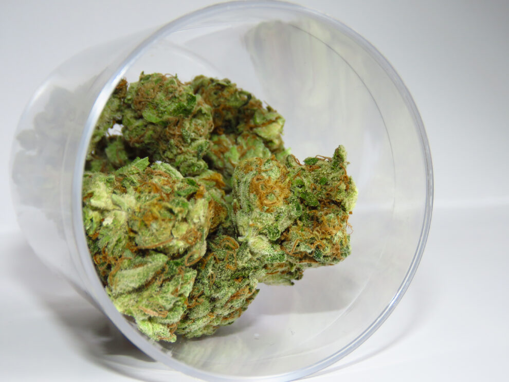Marijuana Bud Guide: What It Is, How It Forms, and What Affects Quality ...